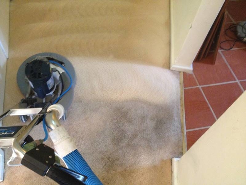 Professional Carpet Cleaning Perth – CleanRite Carpet Care